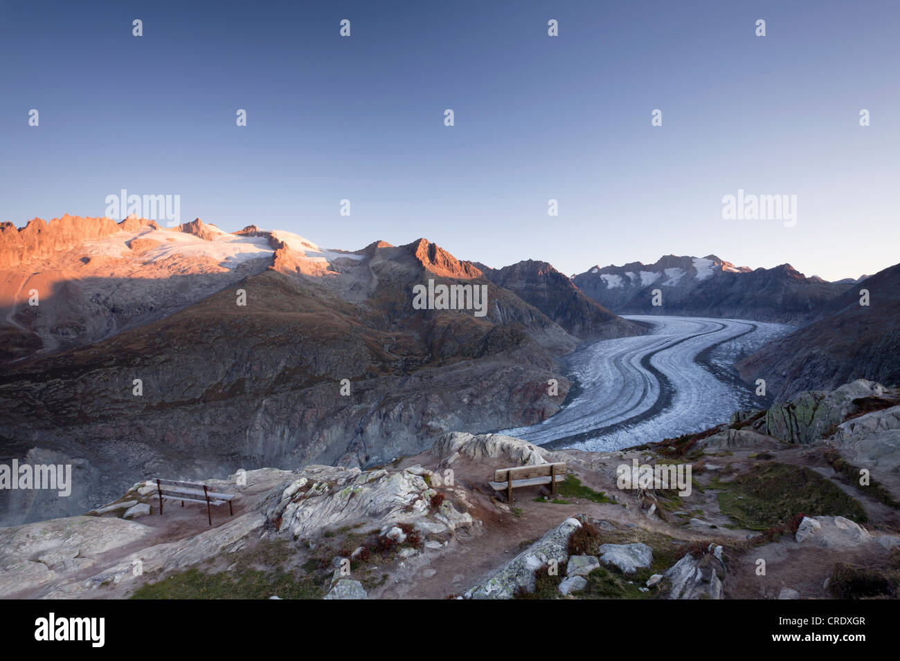 Morning light on the Aletsch Glacier, seen from Moosfluh Mountain near ...