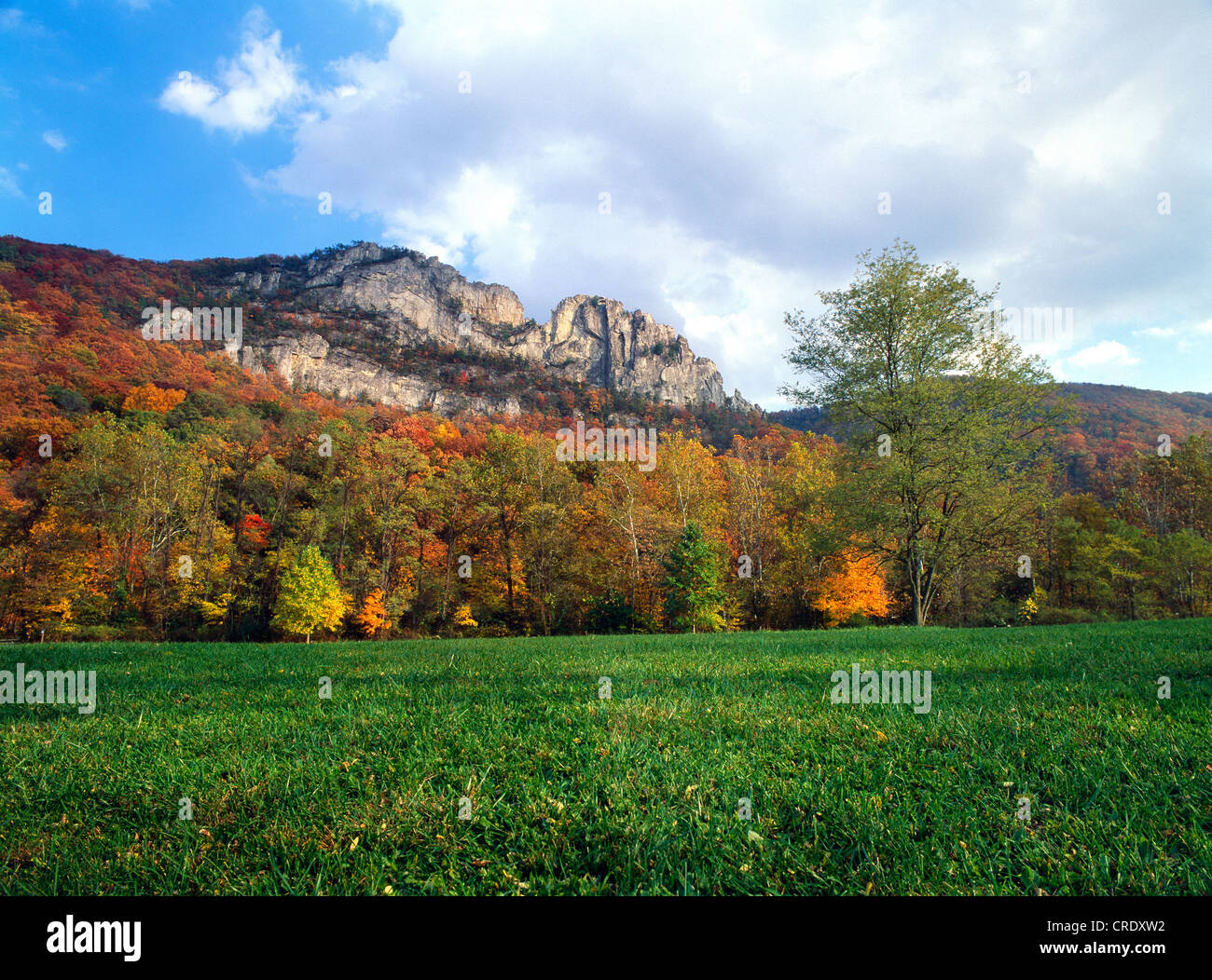 Monongahela national forest hi-res stock photography and images - Alamy