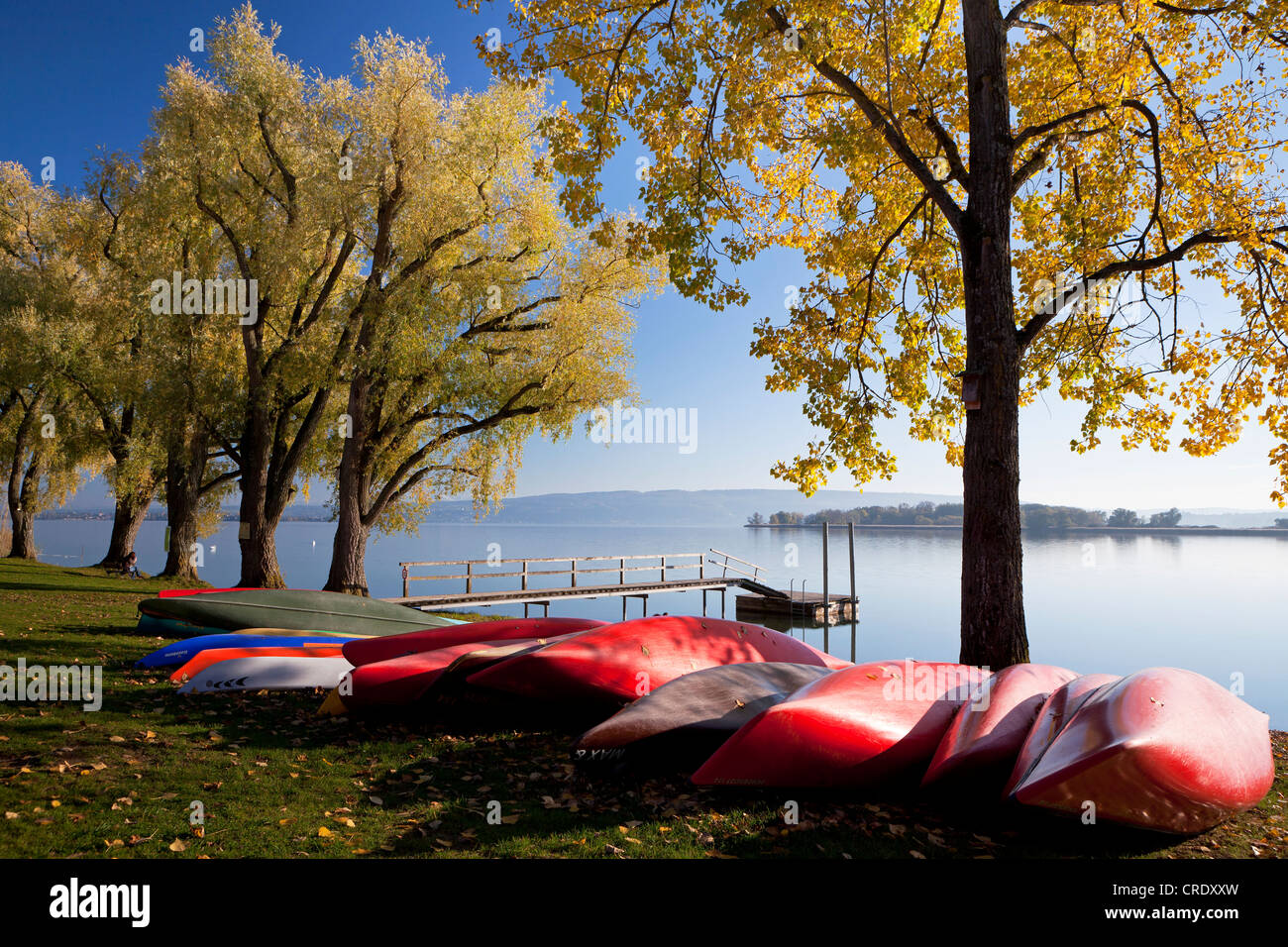 Waterside willow trees hi-res stock photography and images - Alamy