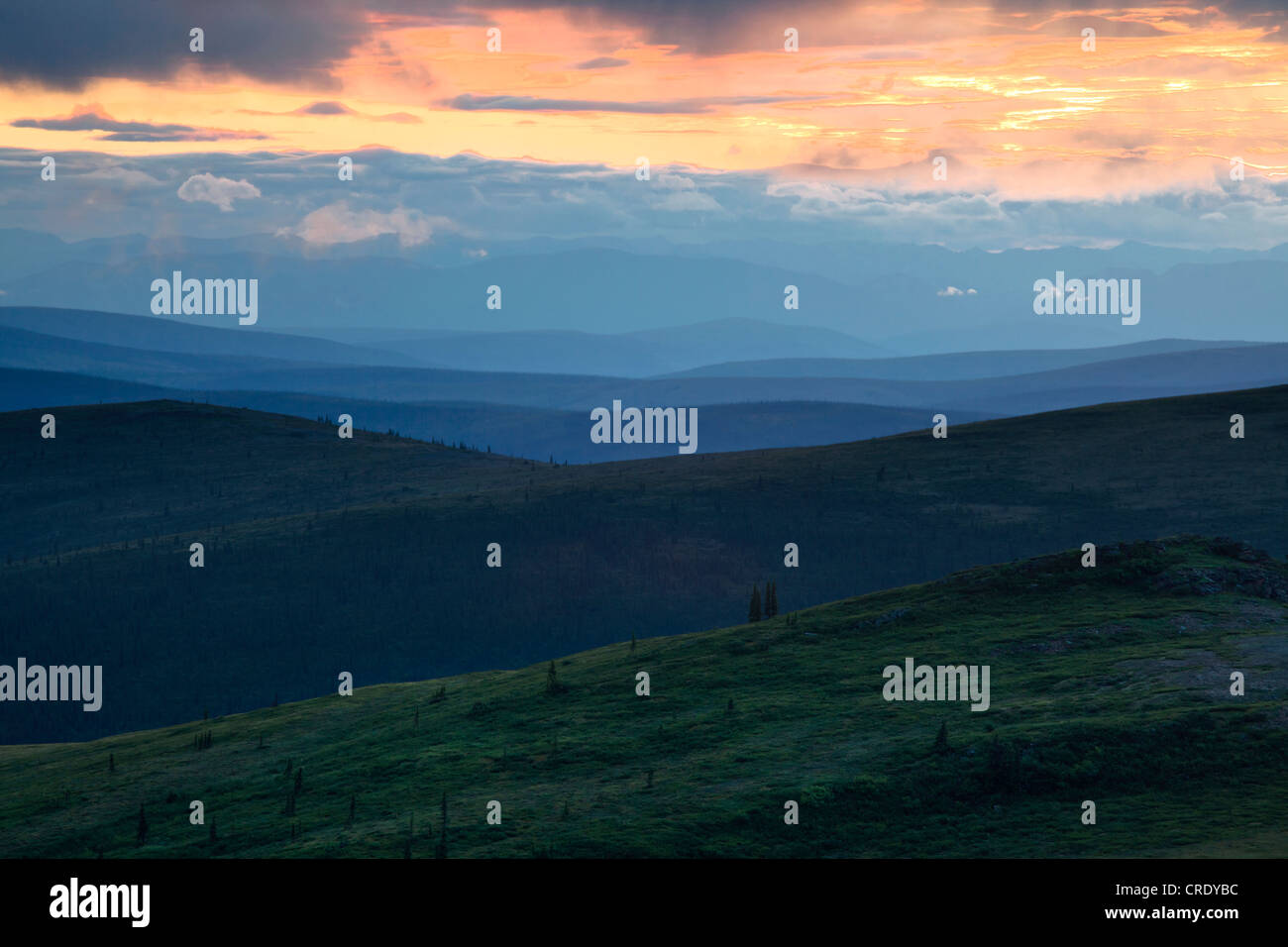 Full gold border hi-res stock photography and images - Alamy