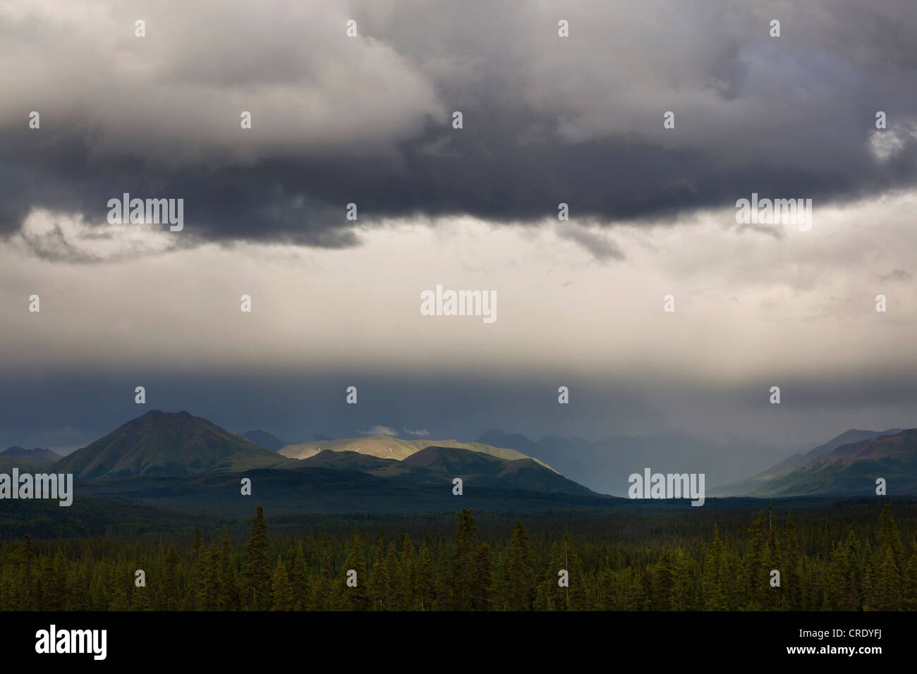 River landscape at the Matanuska River with King Mountain, Alaska, USA ...