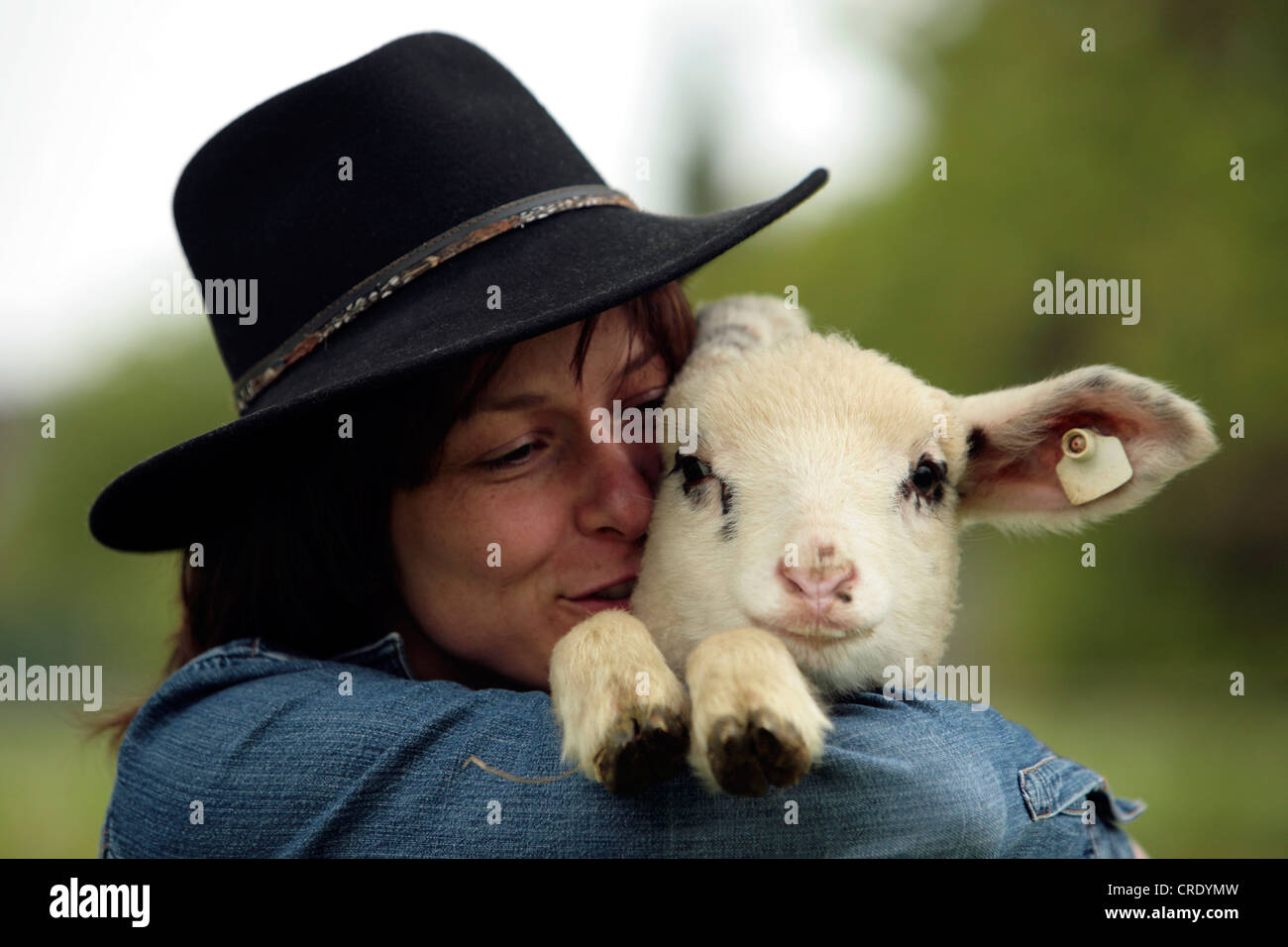 domestic sheep (Ovis ammon f. aries), woman with lamb Stock Photo - Alamy