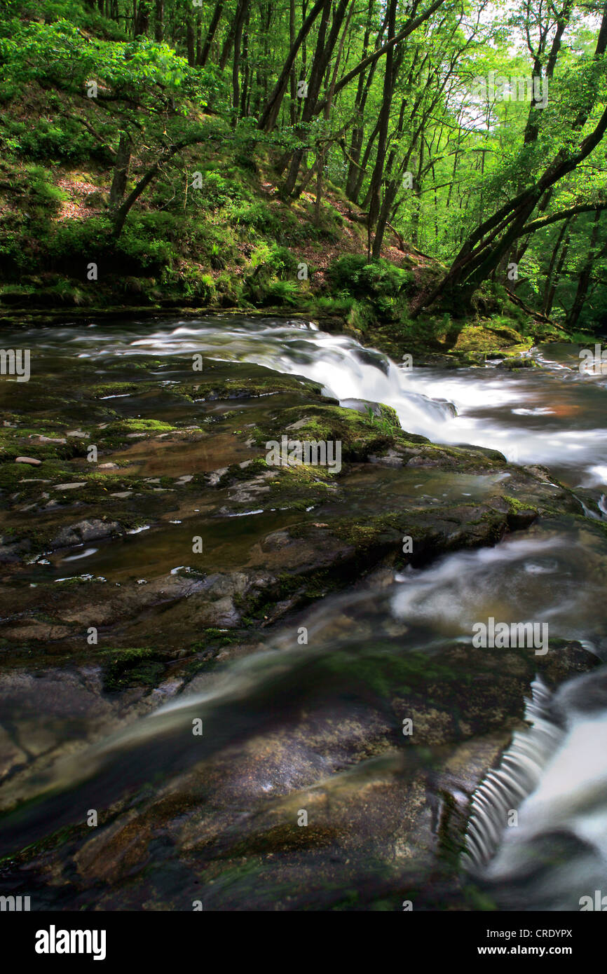 Nedd hi-res stock photography and images - Alamy