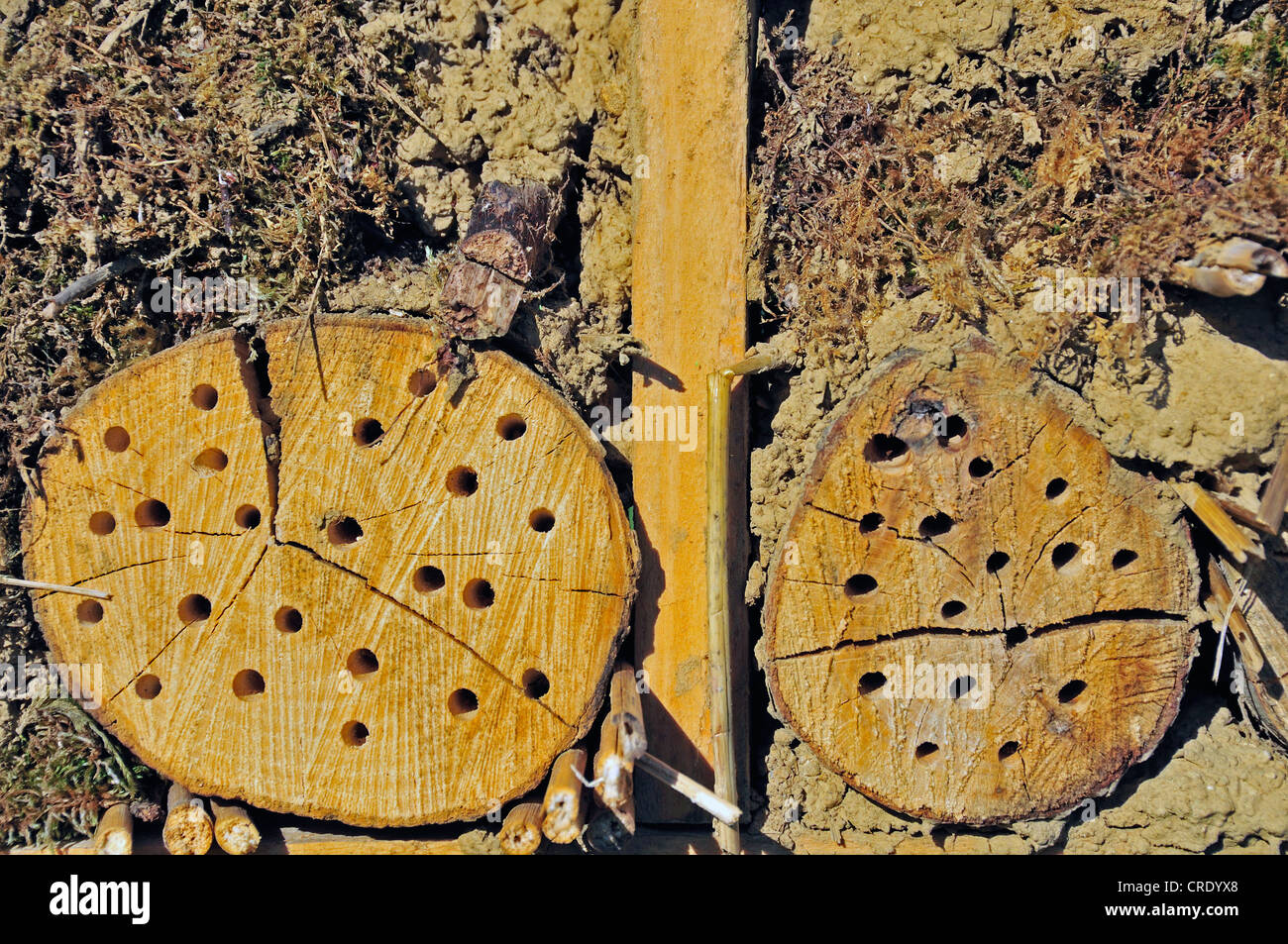 Nesting aid with logs for wild bees and other insects, nest for wild ...