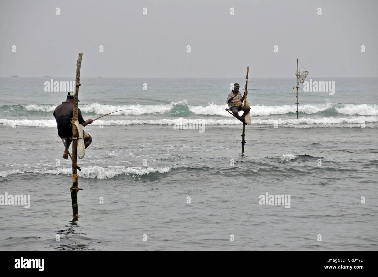Stilt fishermen, South Coast, Sri Lanka, Ceylon, Asia Stock Photo - Alamy