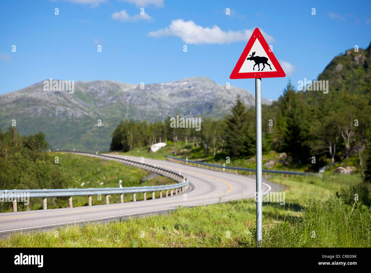 Elk warning sign on the roadside of a road in the Lofoten Islands ...