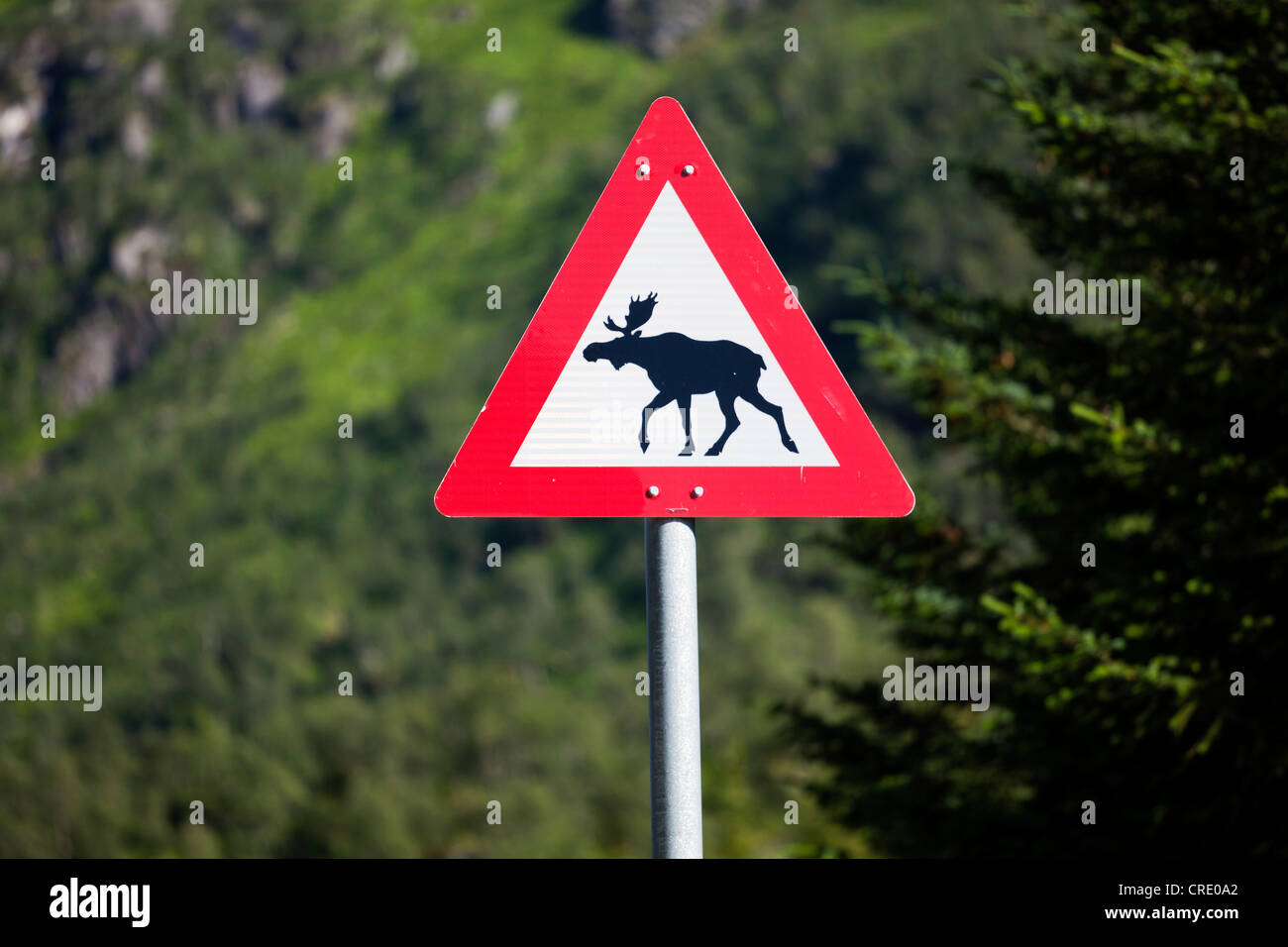 Road signs in norway High Resolution Stock Photography and Images - Alamy