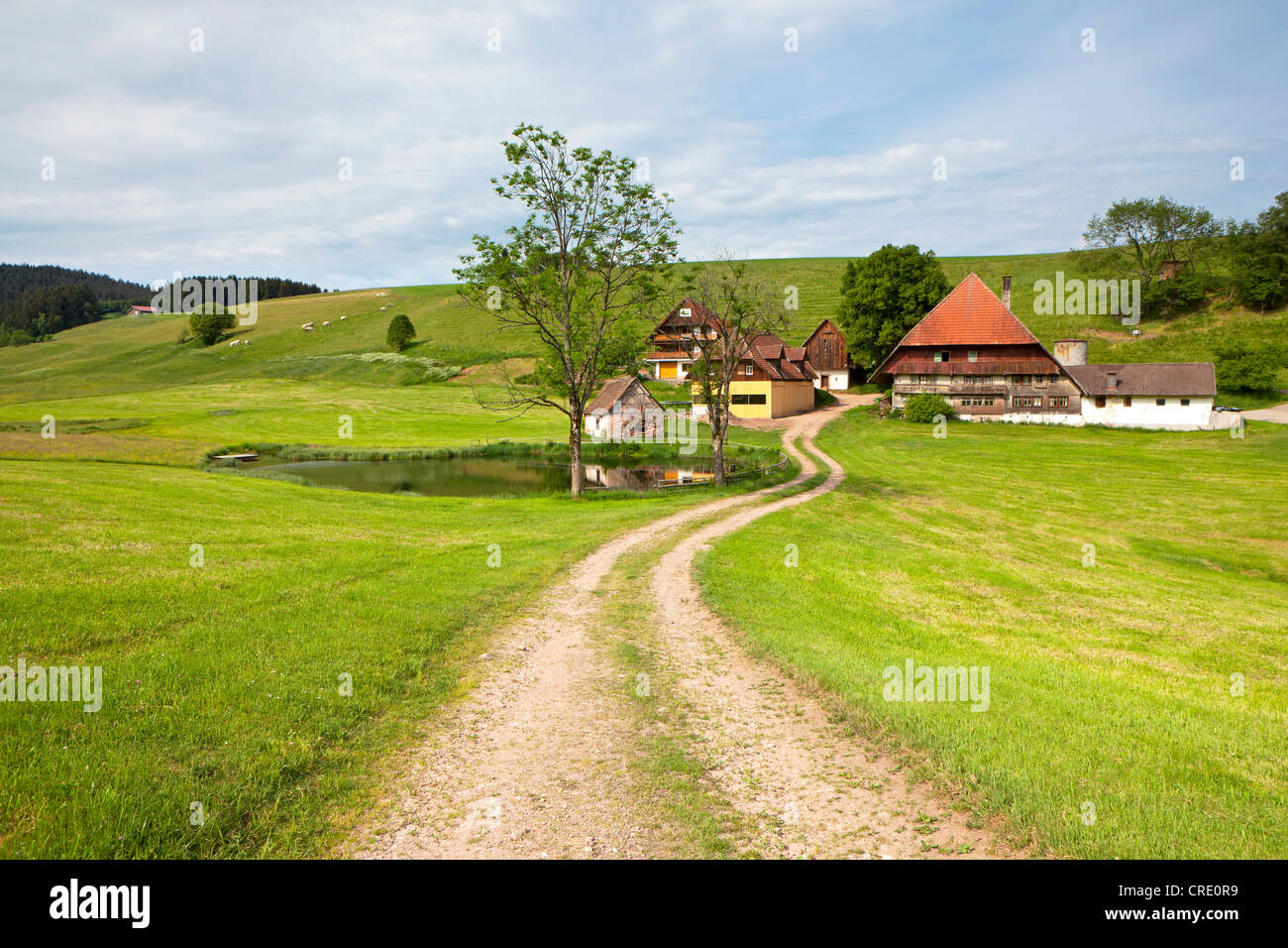 Farm near Hornberg in the Black Forest, Baden-Wuerttemberg, Germany ...