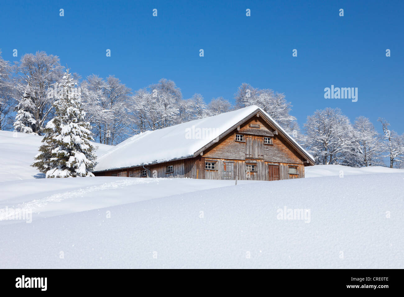 Alpine cabin in fresh snow, Alpstein mountains, Canton Appenzell, Swiss ...