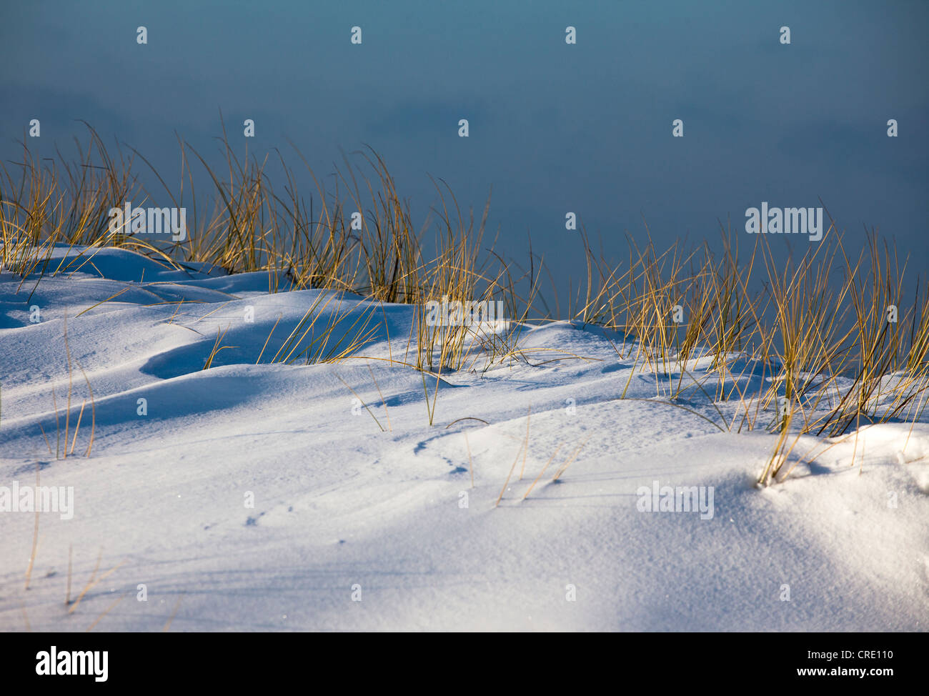 Winter atmosphere with ice and snow, Sylt island, Schleswig-Holstein ...
