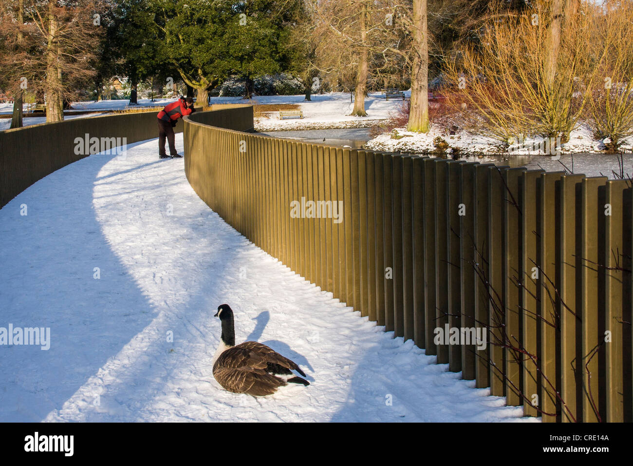 A man in a red jacket admires the view from the Sackler Crossing bridge ...