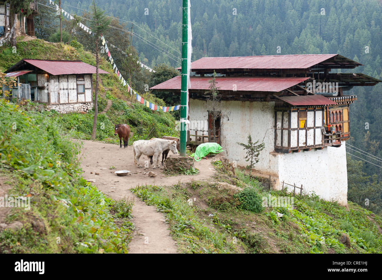 Tibetan Buddhism, horses, traditional houses, Tango Goemba Monastery ...