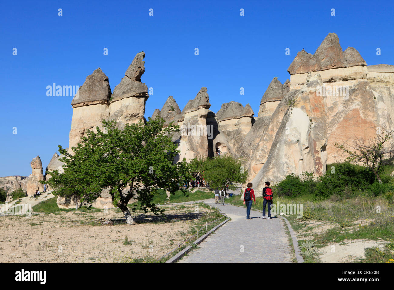 Fairy chimneys, rock formations of tufa, Pasabag Valley, Goreme ...