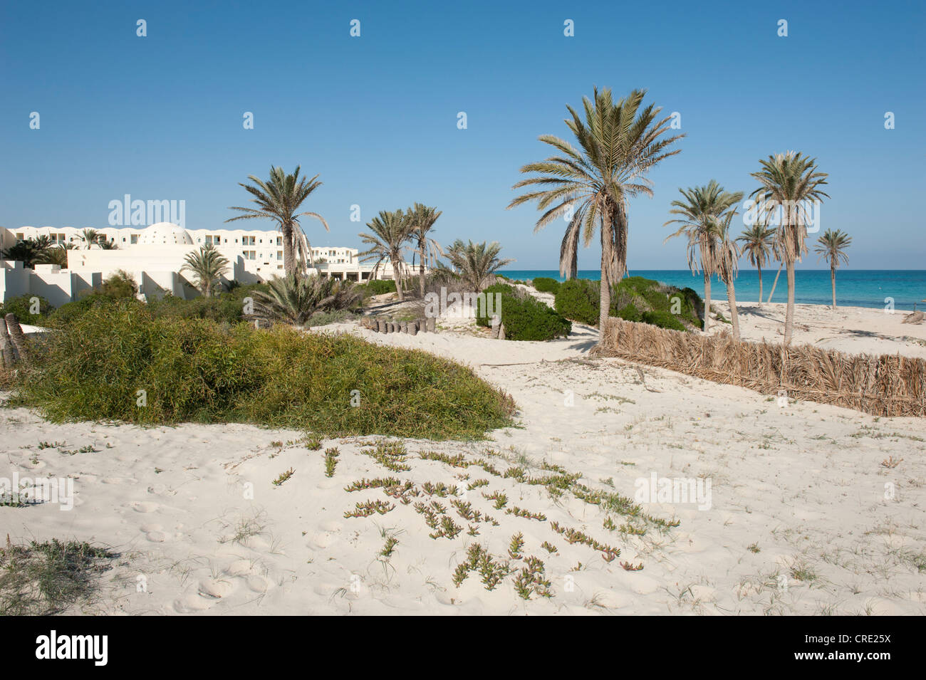 Lonely beach hotel, palm trees and ocean, Djerba island, Tunisia ...