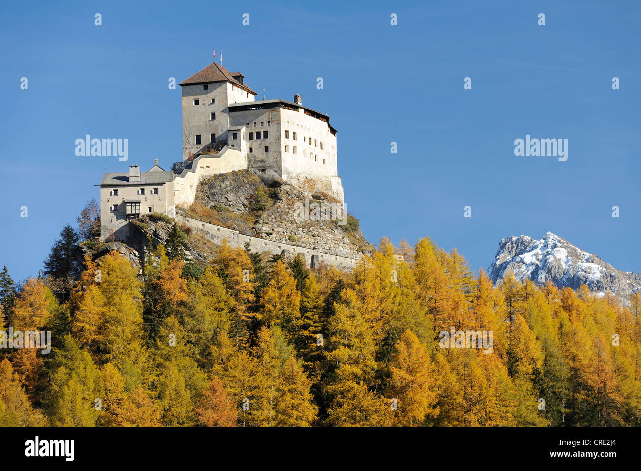Tarasp Castle surrounded by an autumn-coloured larch forest, Scuol ...