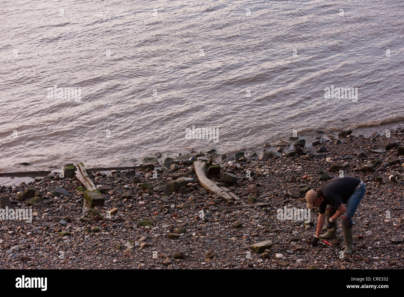 Mudlark hi-res stock photography and images - Alamy