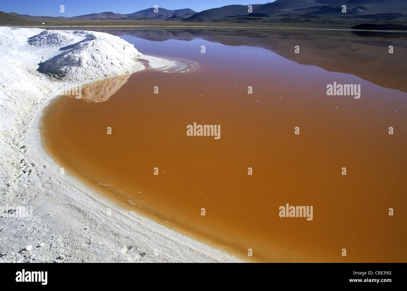 borax and red algae at Laguna Colorado, Bolivia, Nationalpark Eduardo ...