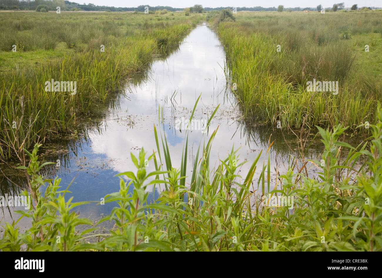 Flood ditch hi-res stock photography and images - Alamy