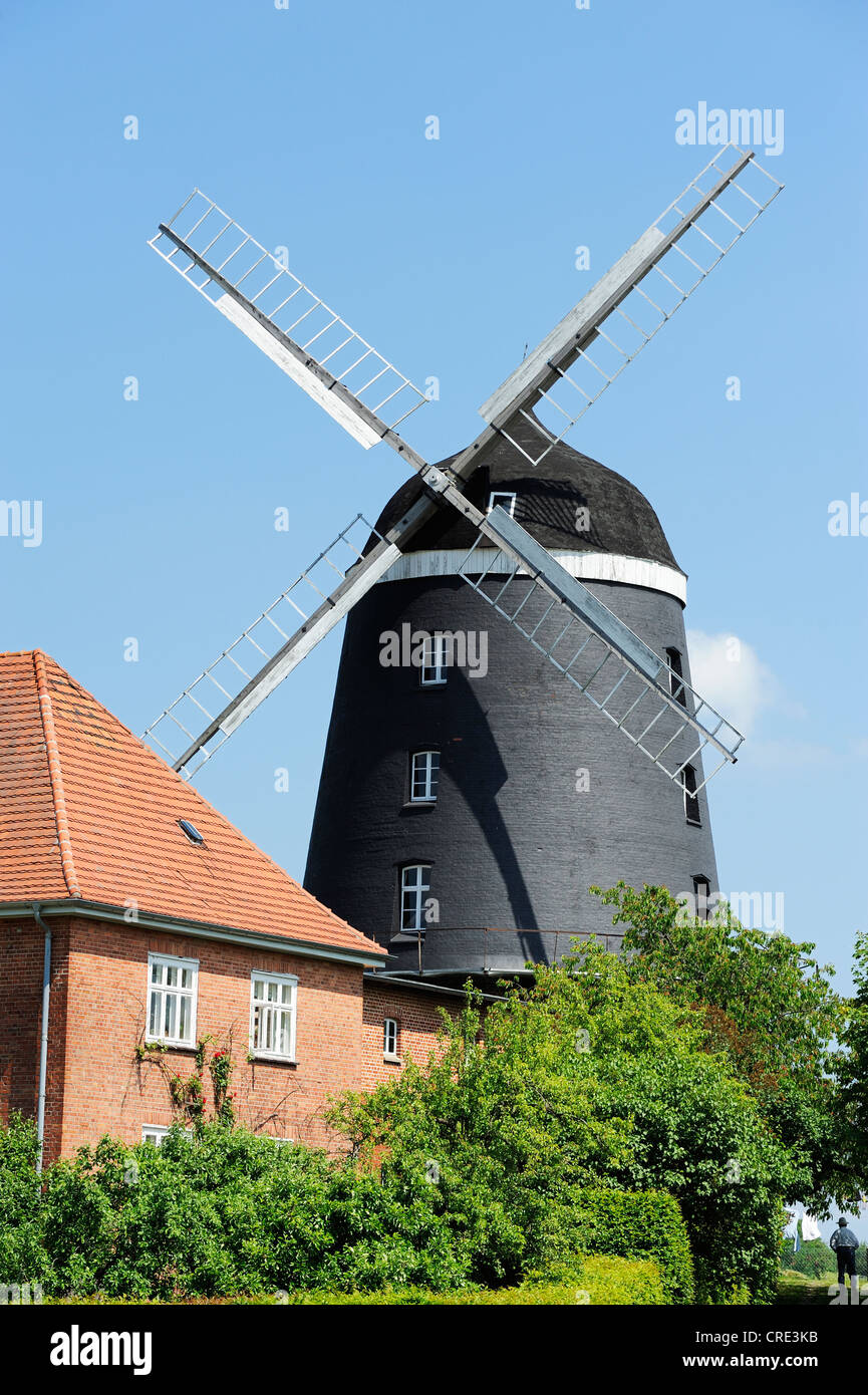Windmill, Woldegk, Mecklenburg-Western Pomerania, Germany, Europe Stock ...