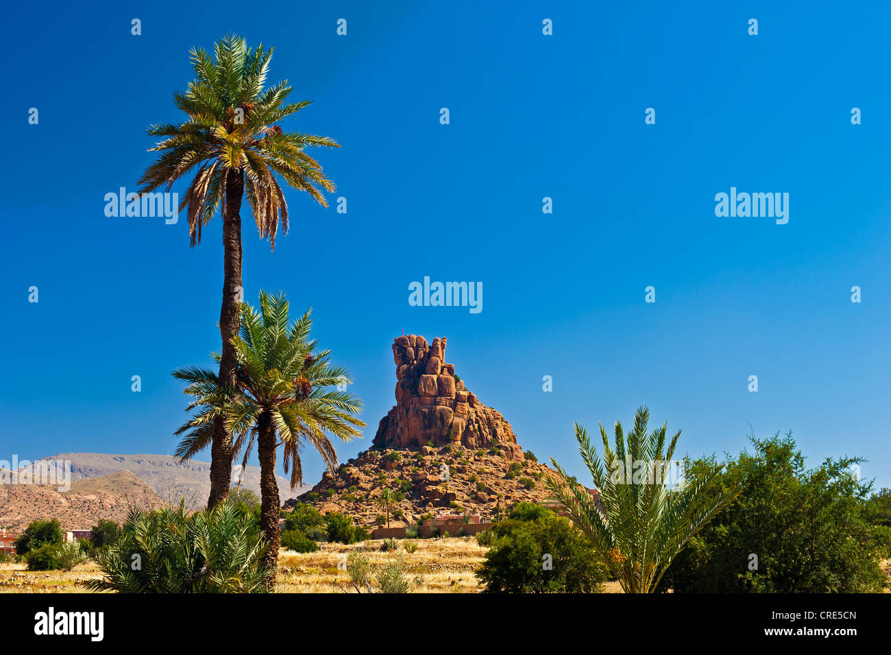 Date Palms (Phoenix) and the impressive rock formation, Chapeau ...