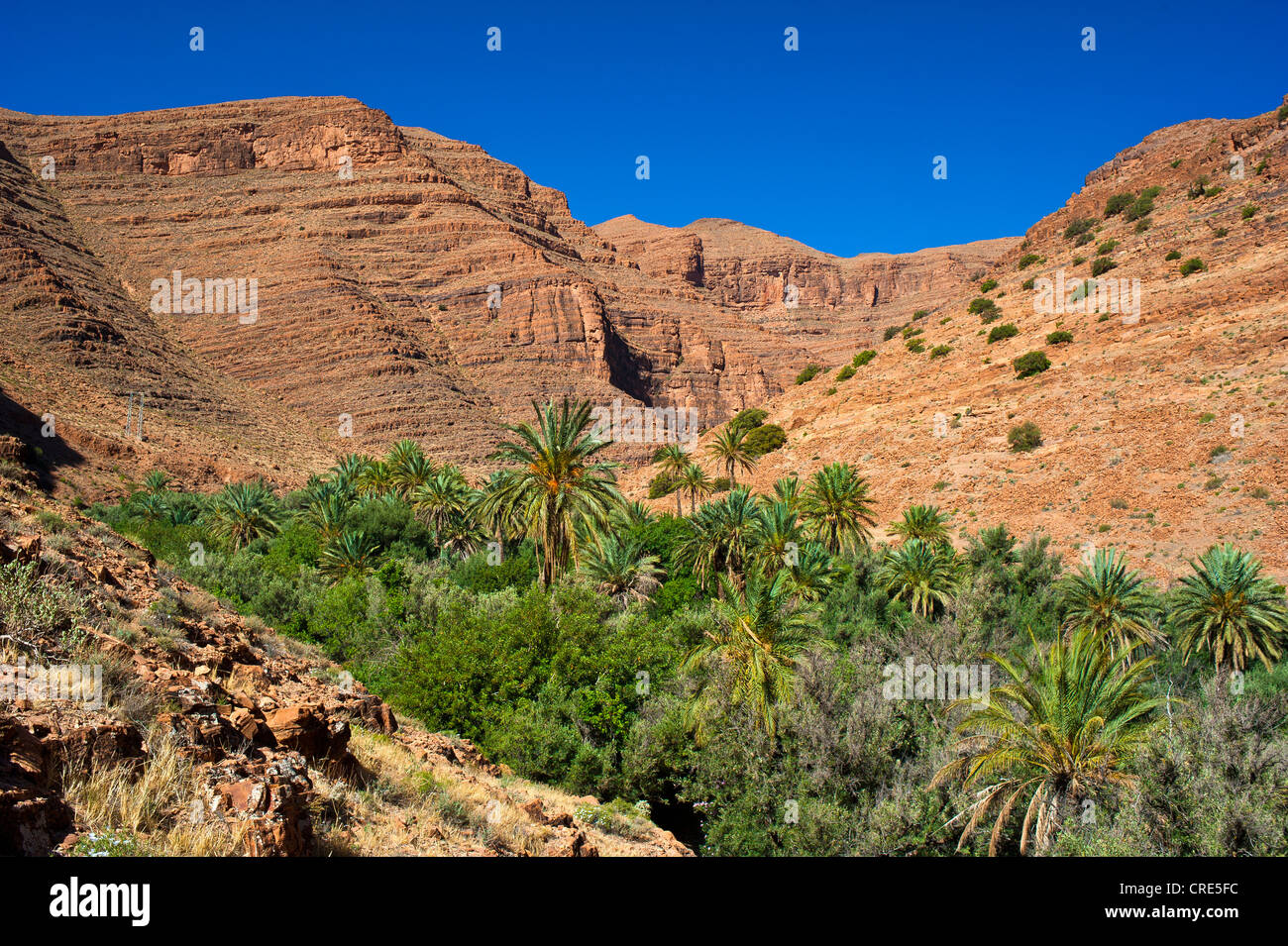 Mountain landscape in the valley of Ait Mansour with date palms in a ...