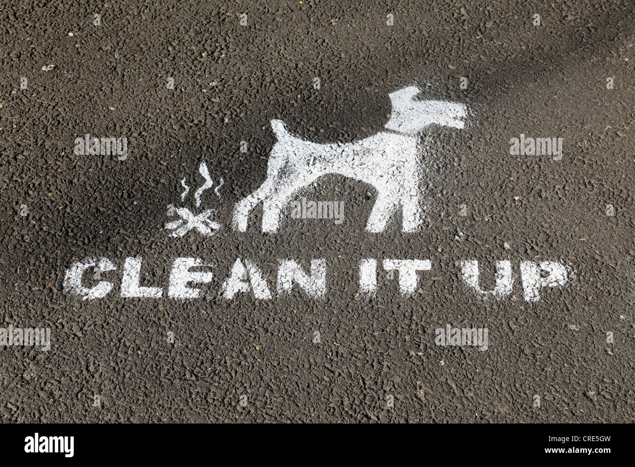 Clean Up Mess Stock Photos & Clean Up Mess Stock Images - Alamy