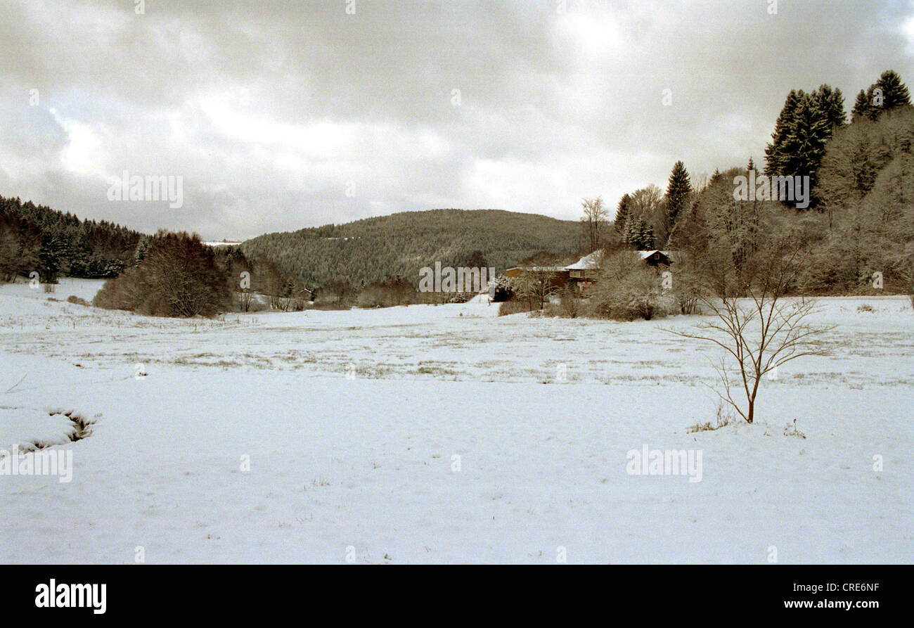 Winter landscape in the vicinity of Saint Blaise, Germany Stock Photo ...