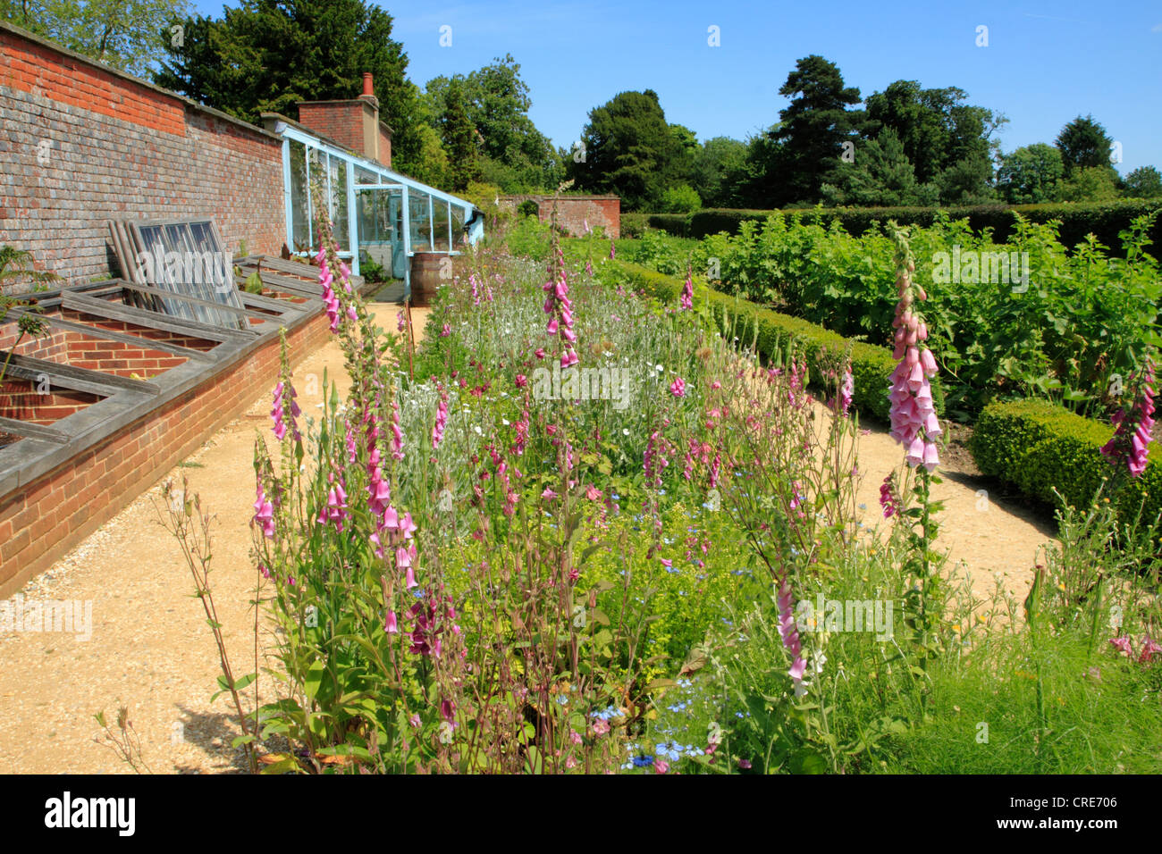 Wildflower garden and greenhouse at Down House, home of Charles Darwin ...
