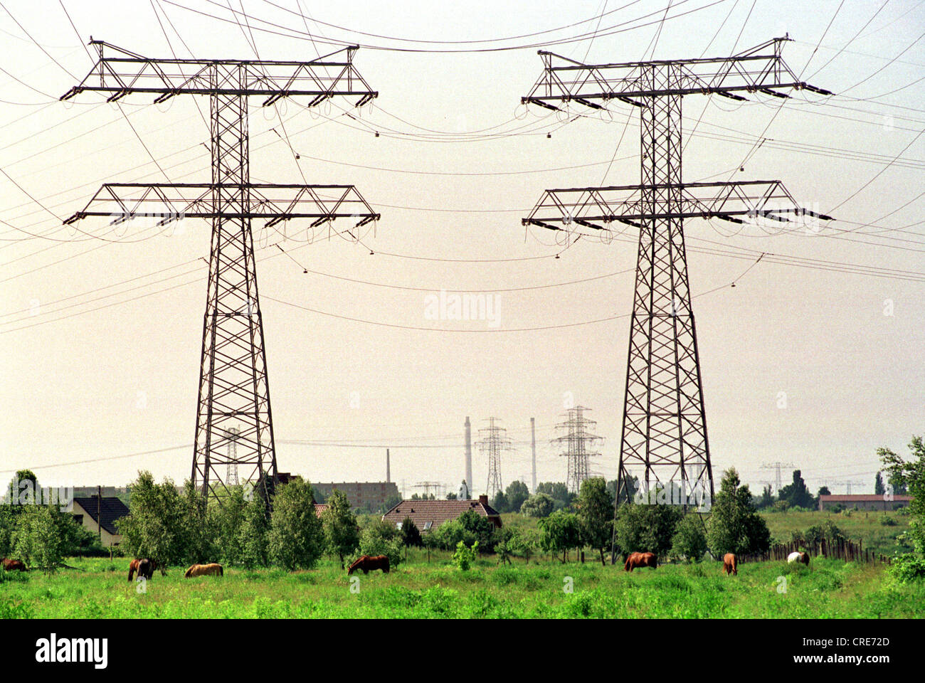 Many power poles in landscape Ahrensfelde in Berlin, Germany Stock ...