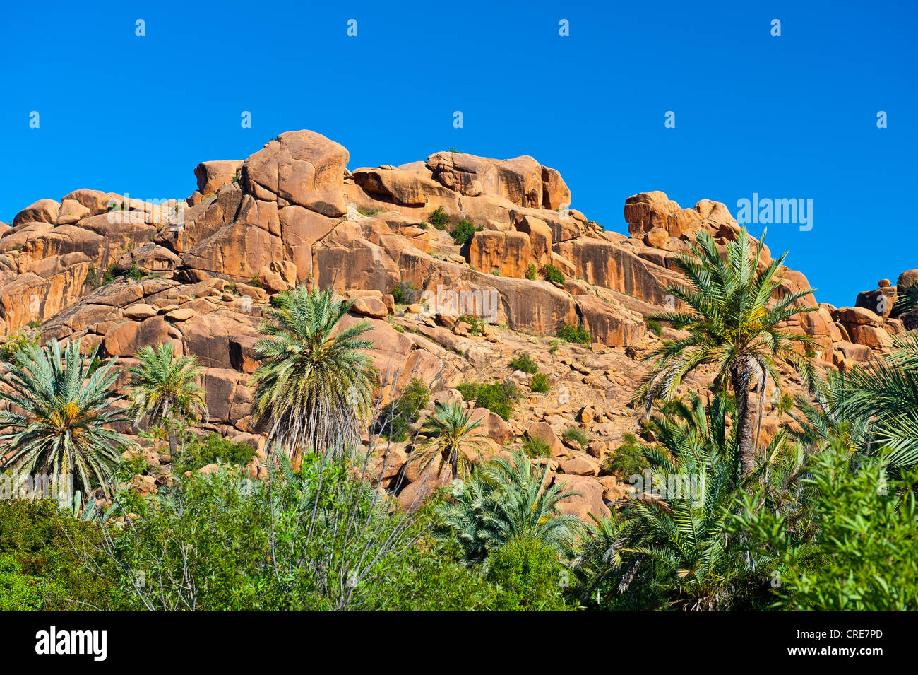 Typical mountain scenery, granite boulders in front of date palms, Anti ...