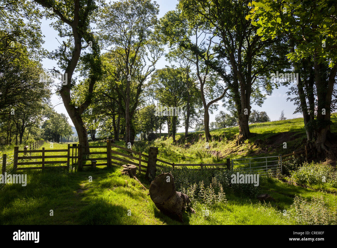 The Onny Trail near Craven Arms with the disused trackbed of the ...
