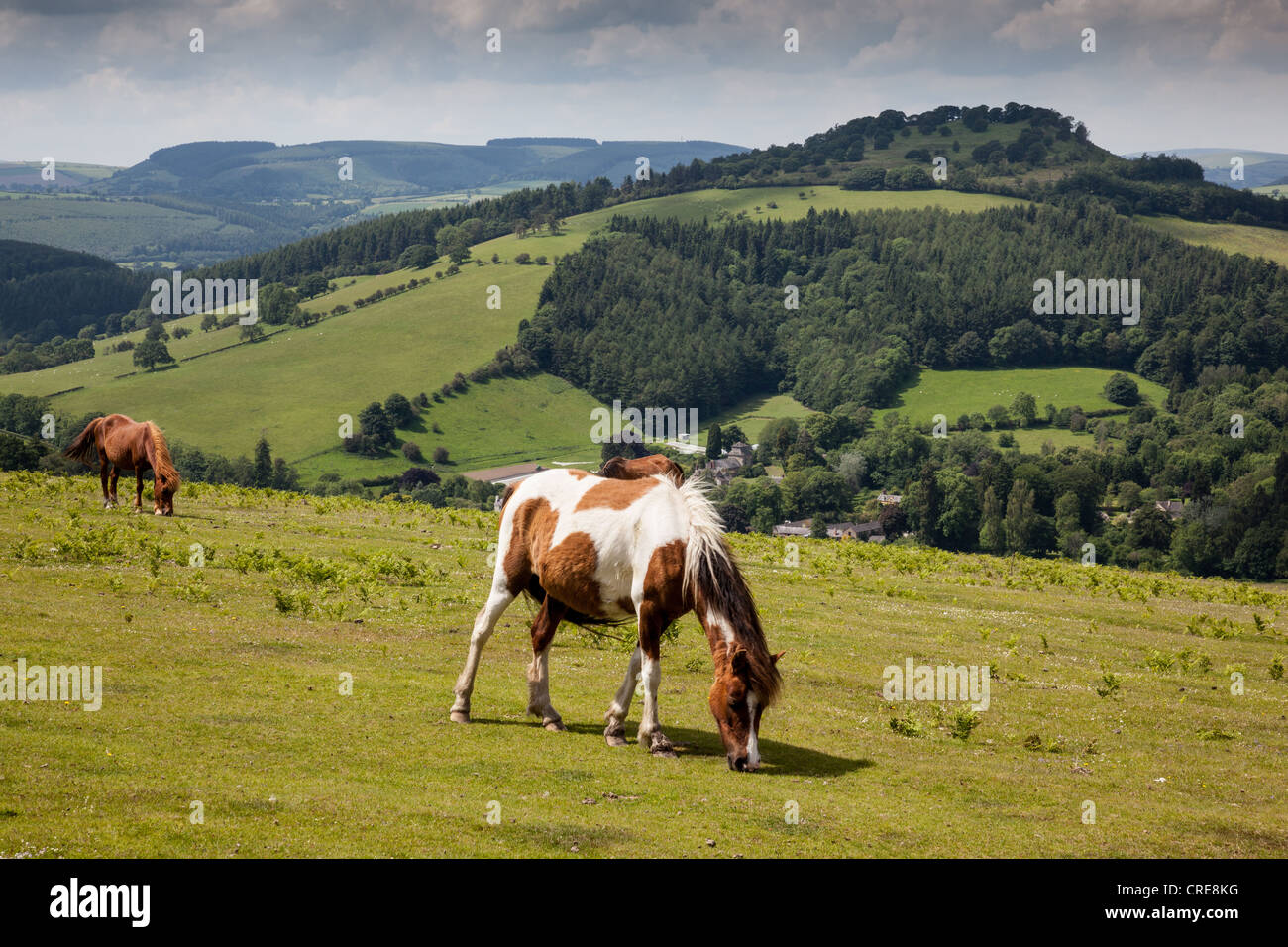 Burrow Hill and the village of Hopesay, as seen from Hopesay Hill, near ...
