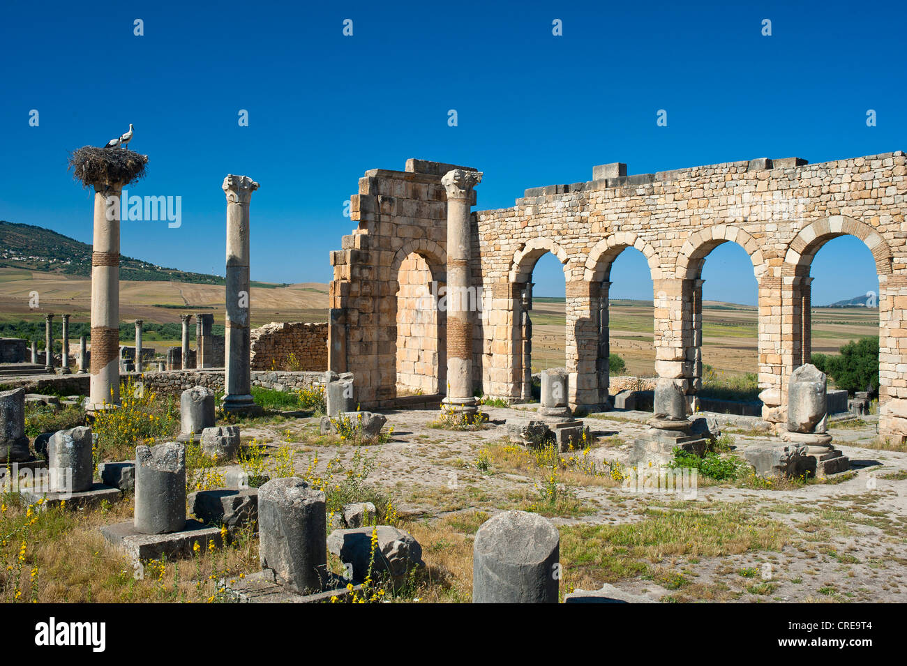 Basilica, Roman ruins with a stork's nest, ancient residential city of ...