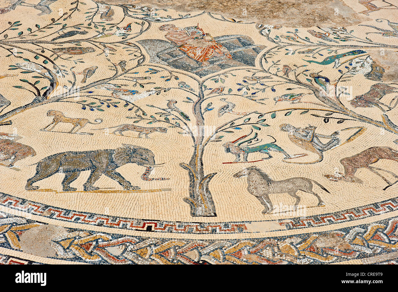 Ancient roman mosaic floor hi-res stock photography and images - Alamy