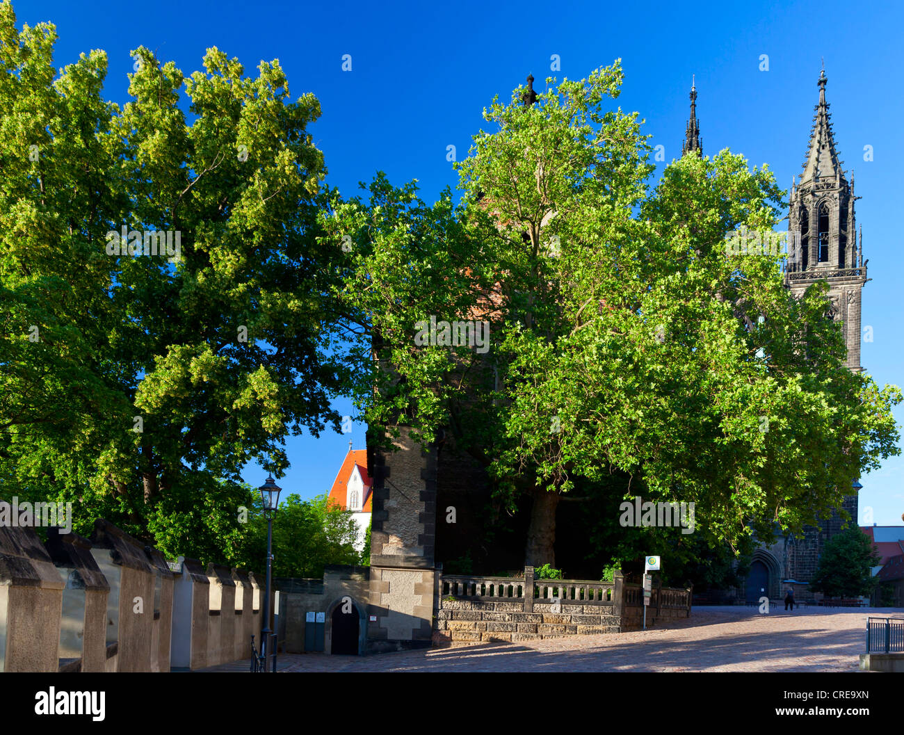 Cathedral at Albrechtsburg (Albrecht's castle) - Meissen, Saxonia ...