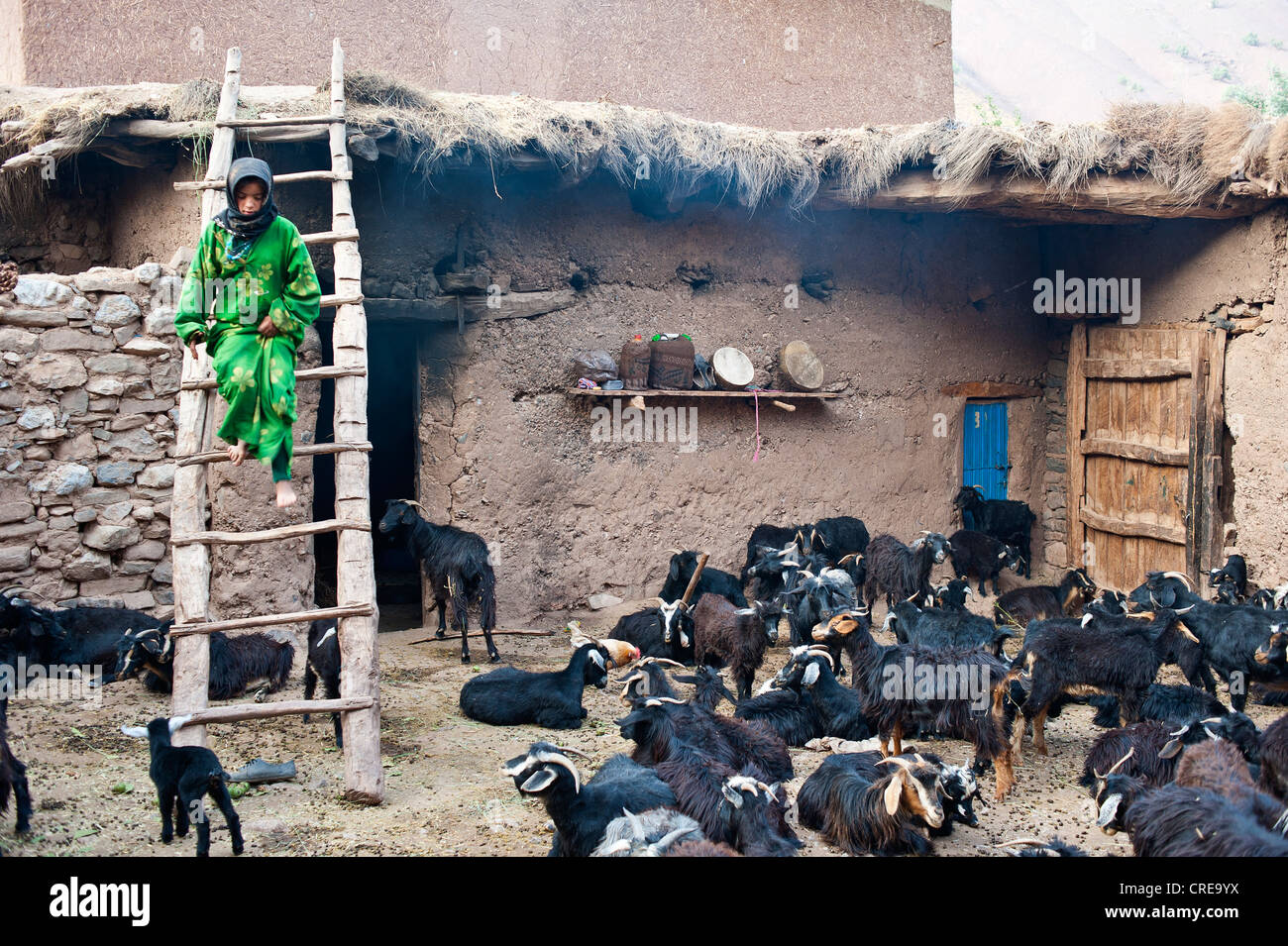 Goats ladder hi-res stock photography and images - Alamy
