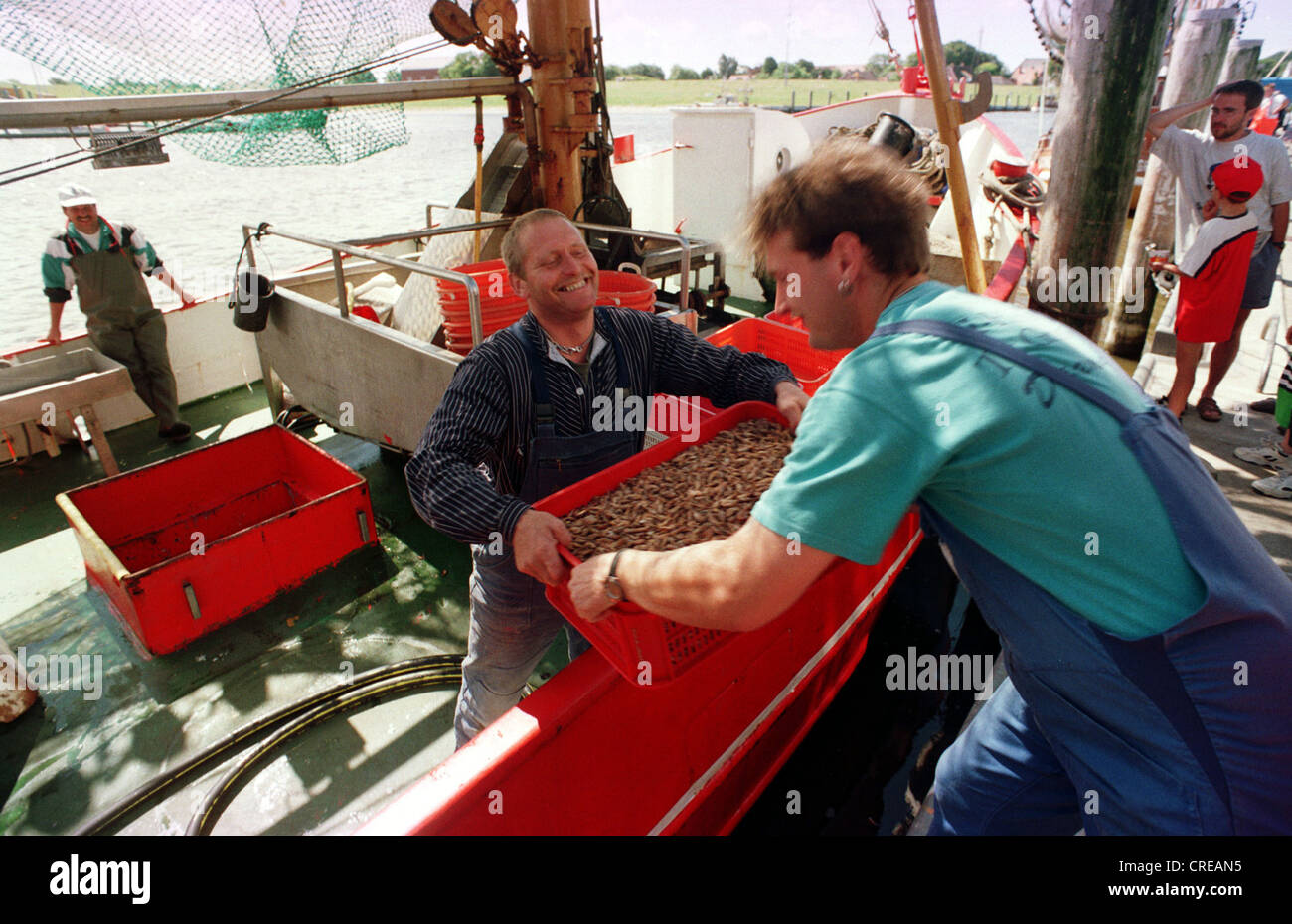 Shrimpers Stock Photos & Shrimpers Stock Images - Alamy