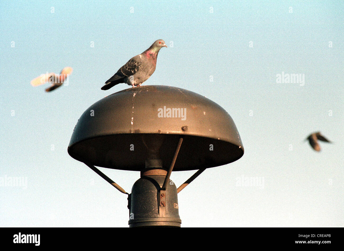 Air raid siren german hi-res stock photography and images - Alamy