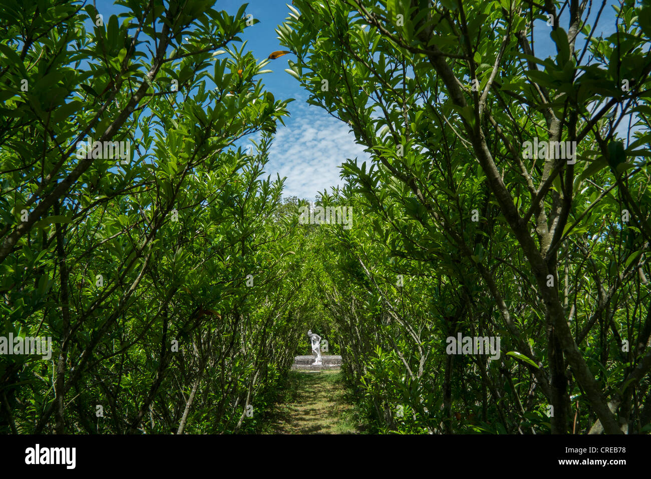 Statue of a bathing goddess ( Venus? ) in the grounds of a french ...