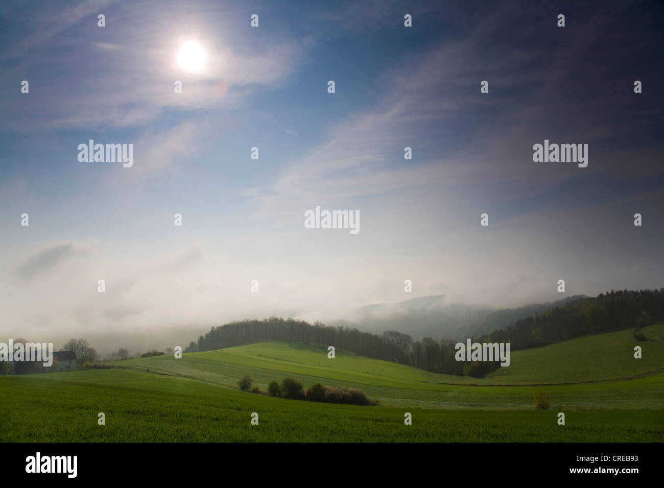 cultural landscape with mist, Germany, Saxony, Vogtlaendische Schweiz ...