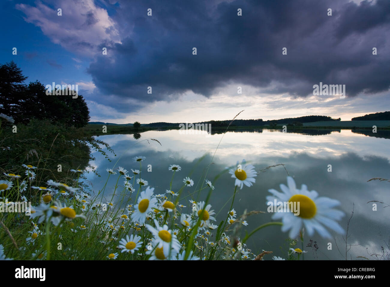 Stormy atmosphere at a pond hi-res stock photography and images - Alamy