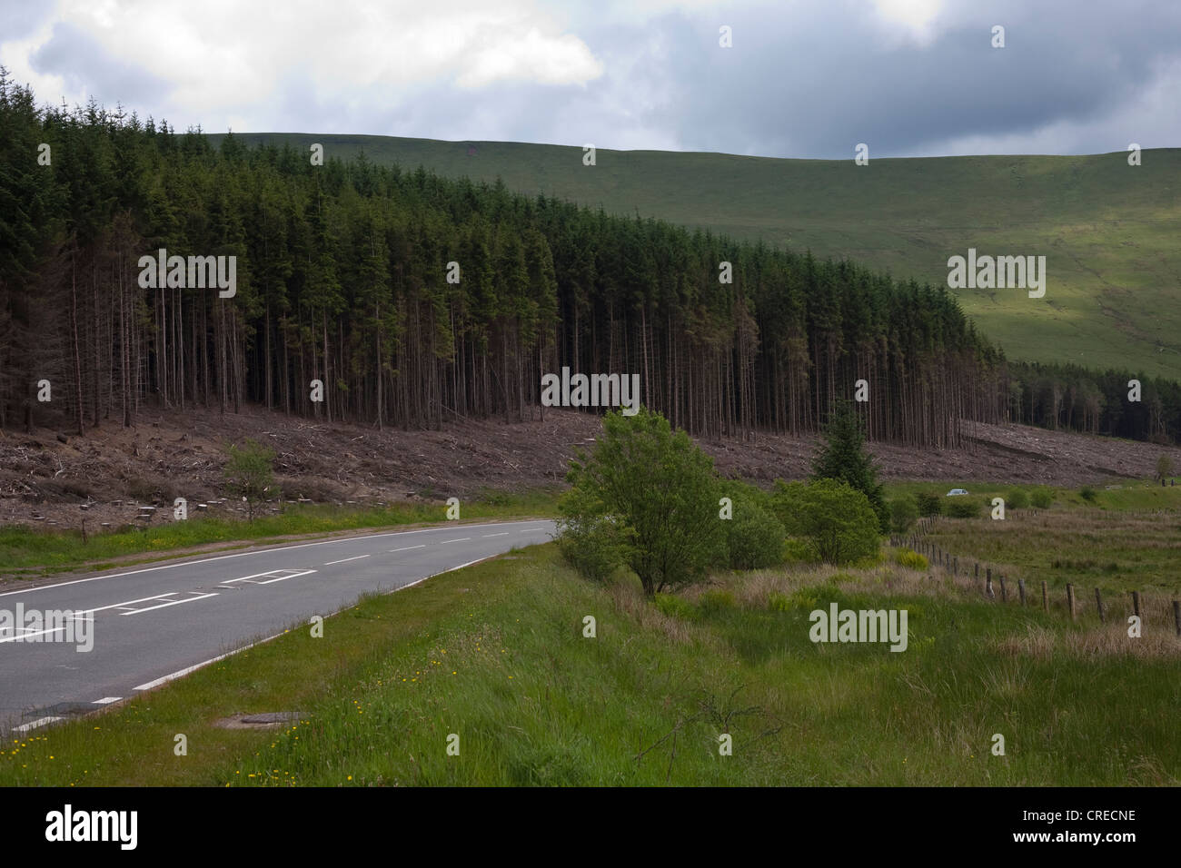 Trees being cut down hi-res stock photography and images - Alamy