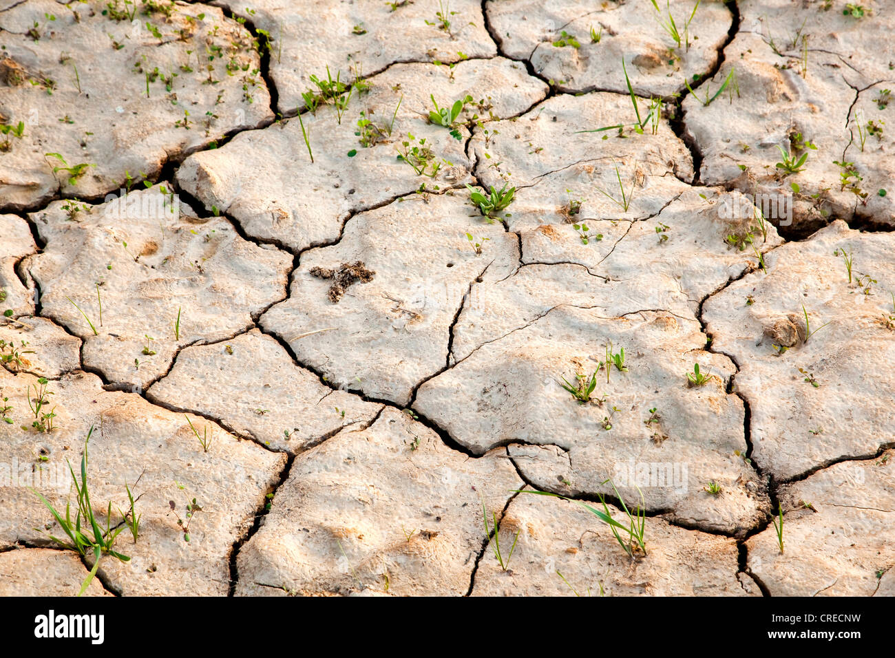 Loam soil hi-res stock photography and images - Alamy