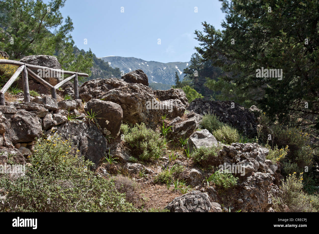 Crete samaria national park hi-res stock photography and images - Alamy