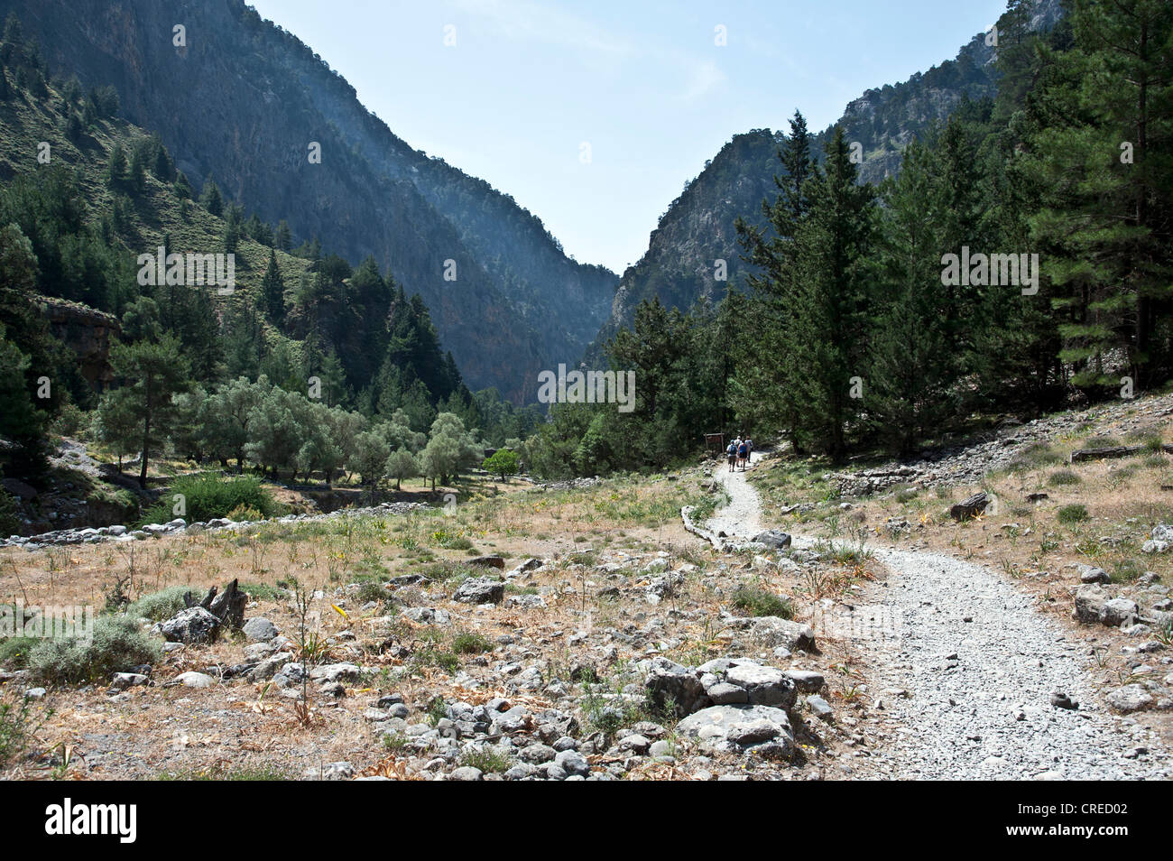 Crete samaria national park hi-res stock photography and images - Alamy