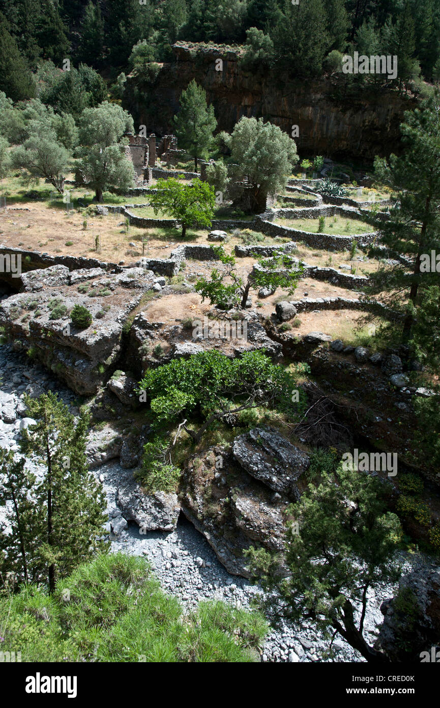 Gorges de samaria hi-res stock photography and images - Alamy