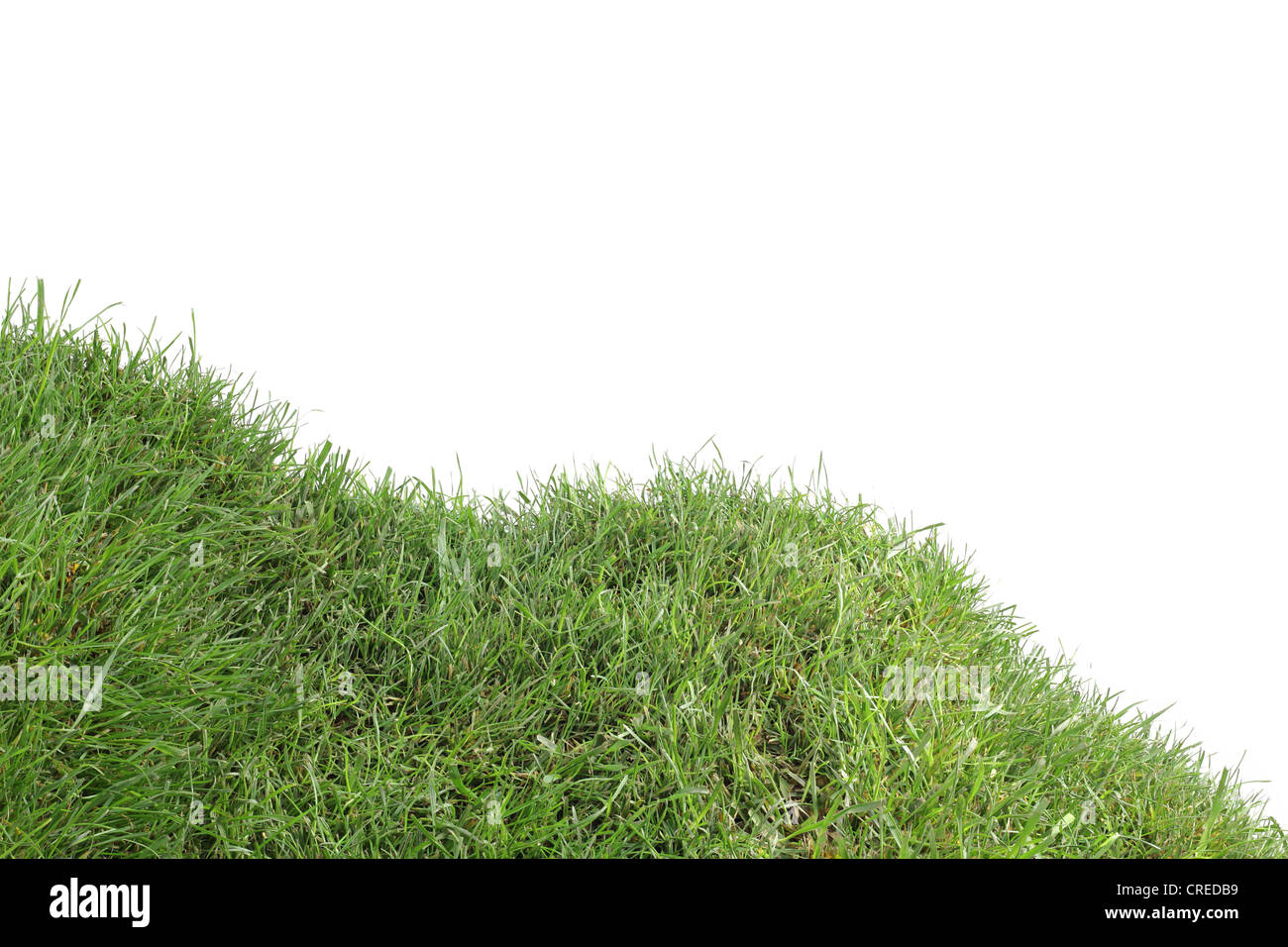Grassy Down Hill Isolated on White Background Stock Photo - Alamy