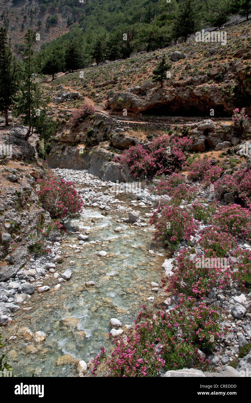 Samarias gorge hi-res stock photography and images - Alamy