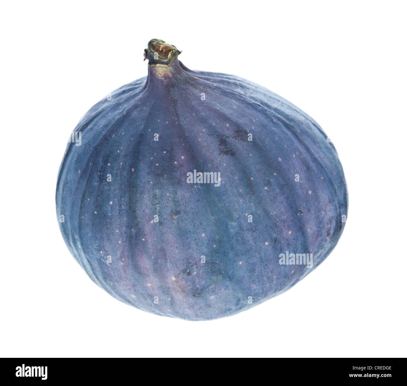 Fresh fig hi-res stock photography and images - Alamy