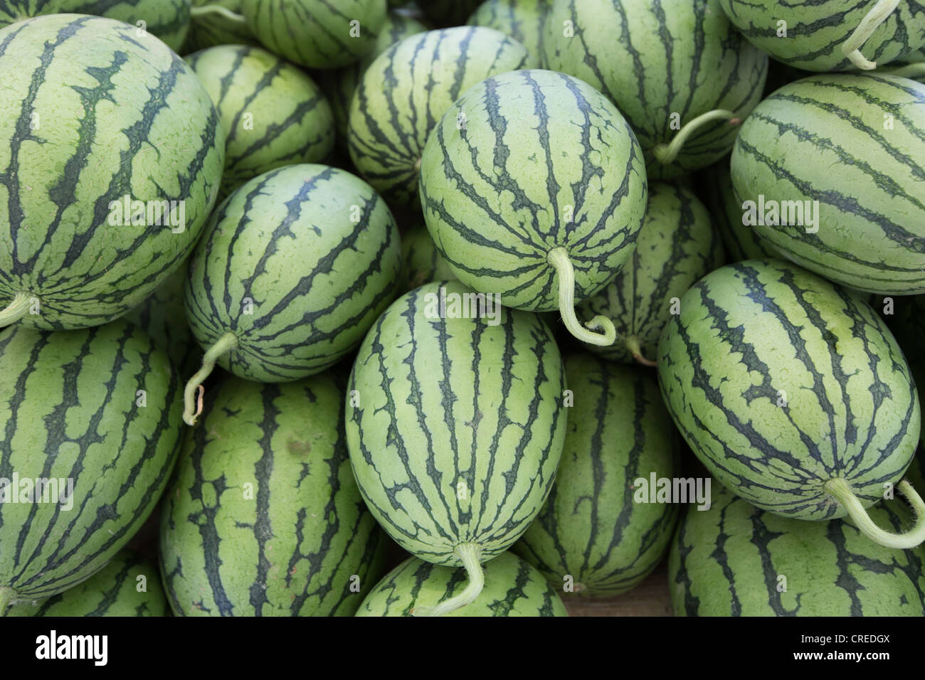 Watermelon stalls, sellers and greenhouses, beside the road, in Daxing ...